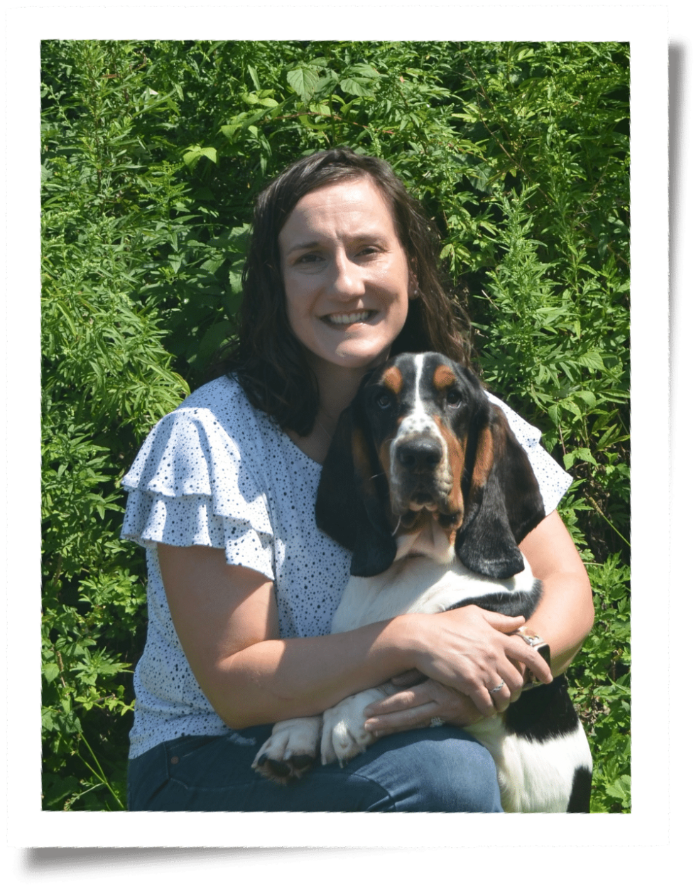 Veterinarian Monroe Township, PA – Creekside Animal Hospital